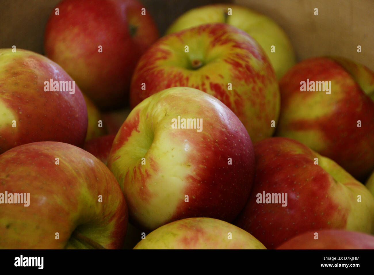 Mcintosh apple red macintosh hi-res stock photography and images - Alamy
