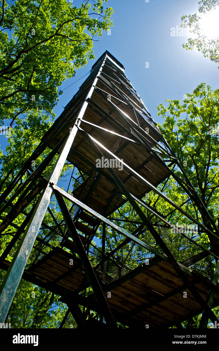 Forest Watch Tower Stock Photos & Forest Watch Tower Stock Images - Alamy