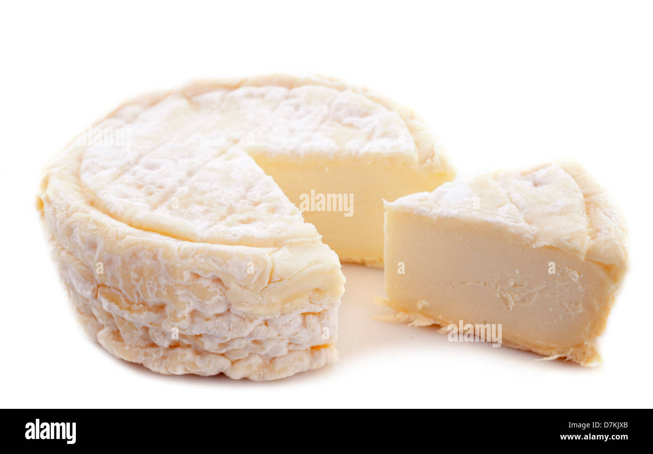 Saint Marcellin cheese in front of white background Stock Photo - Alamy