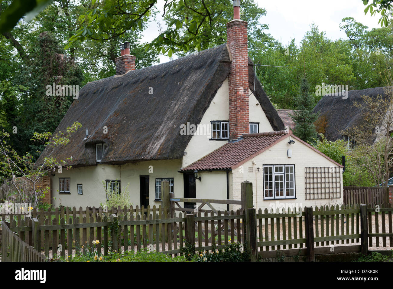 A pretty thatched cottage in the village of Dullingham Cambridgeshire ...
