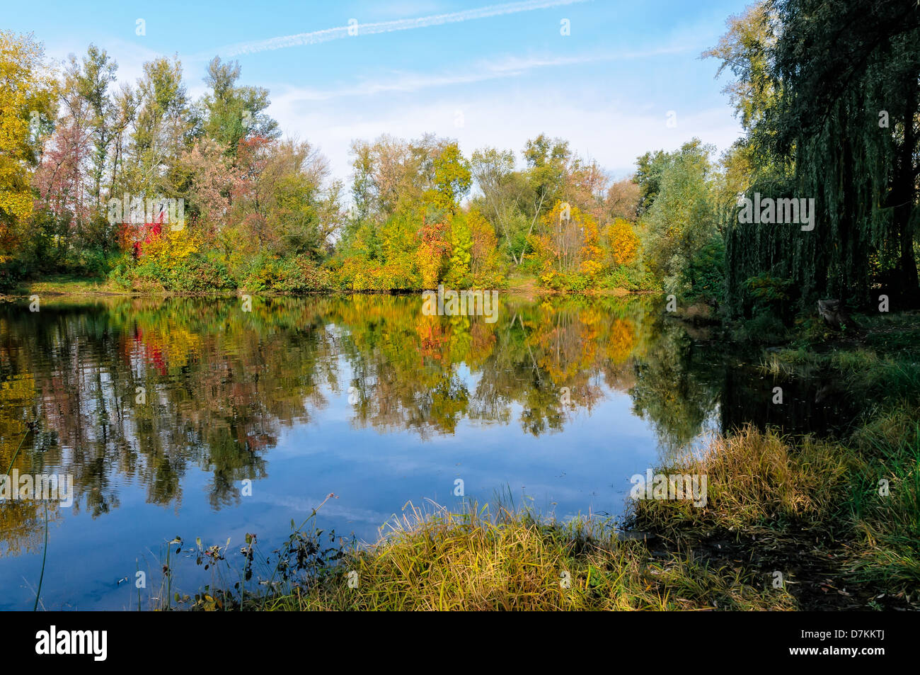 Reflection of trees in the water in Autumn Stock Photo - Alamy