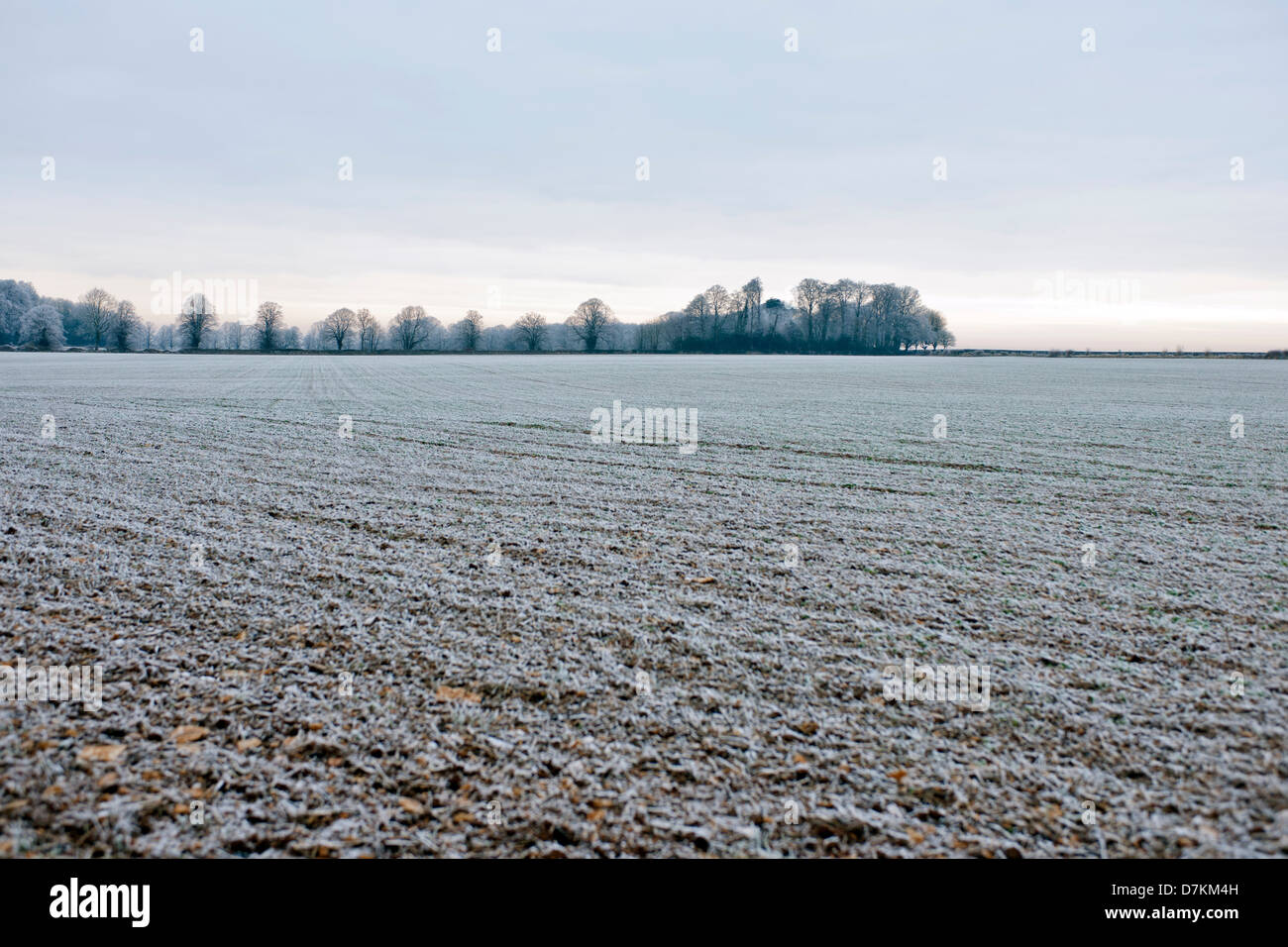 fields in winter frost Stock Photo - Alamy