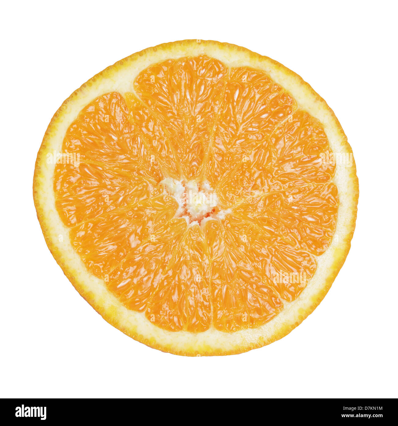 Half above Cut Out Stock Images & Pictures - Alamy