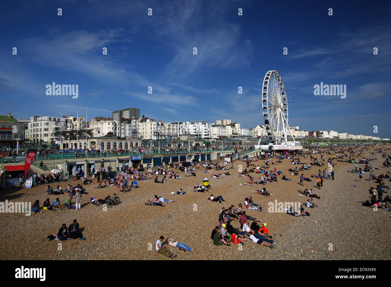 Brighton Beach with The Brighton Wheel in the background Stock Photo ...