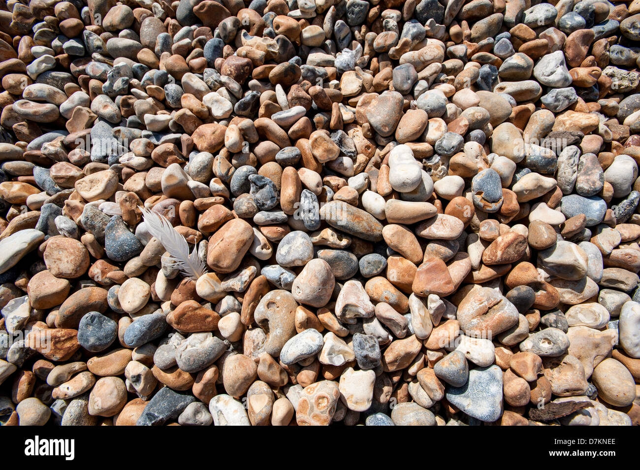 Brighton rock beach hi-res stock photography and images - Alamy