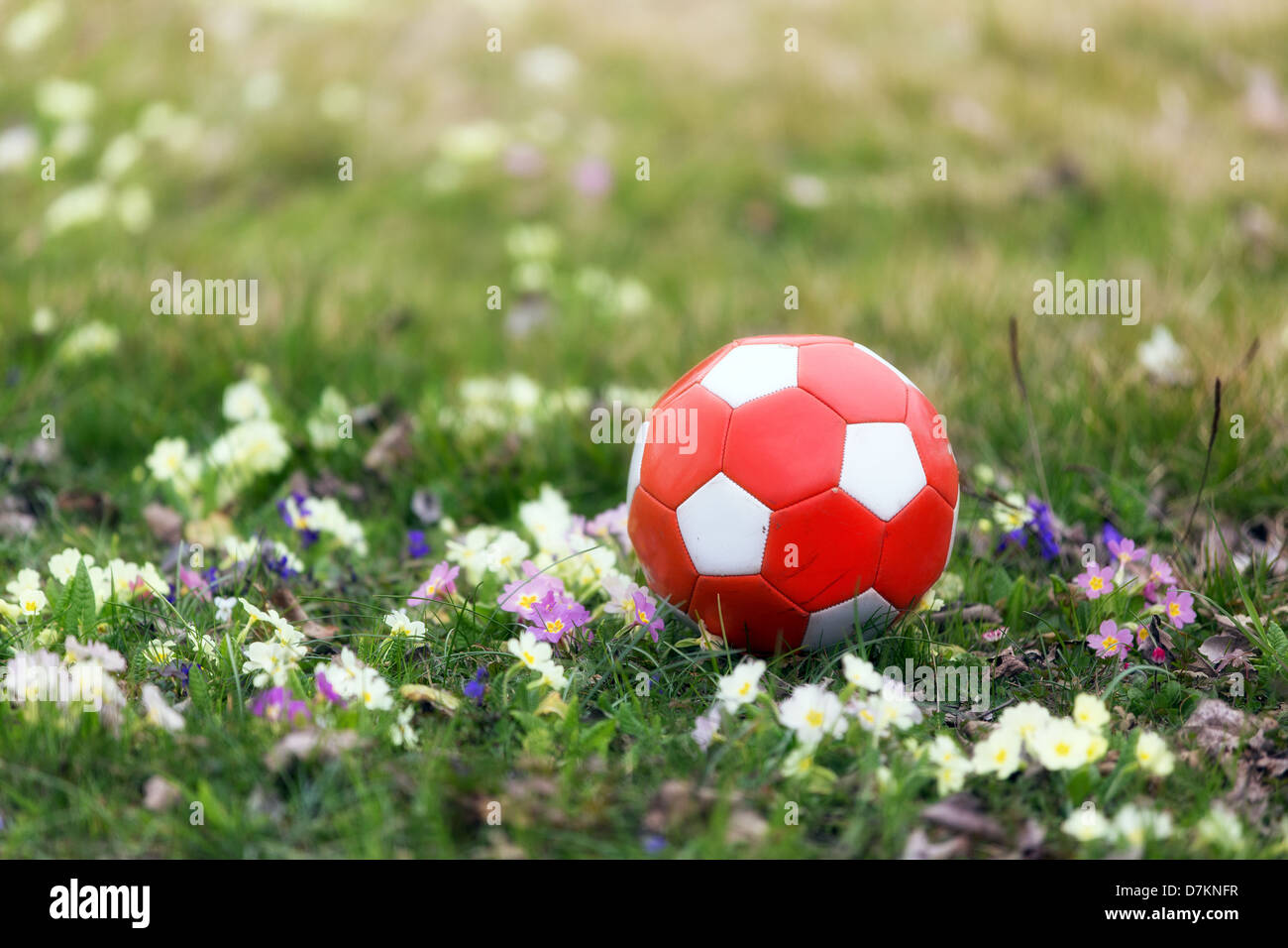 Spring ball hi-res stock photography and images - Alamy