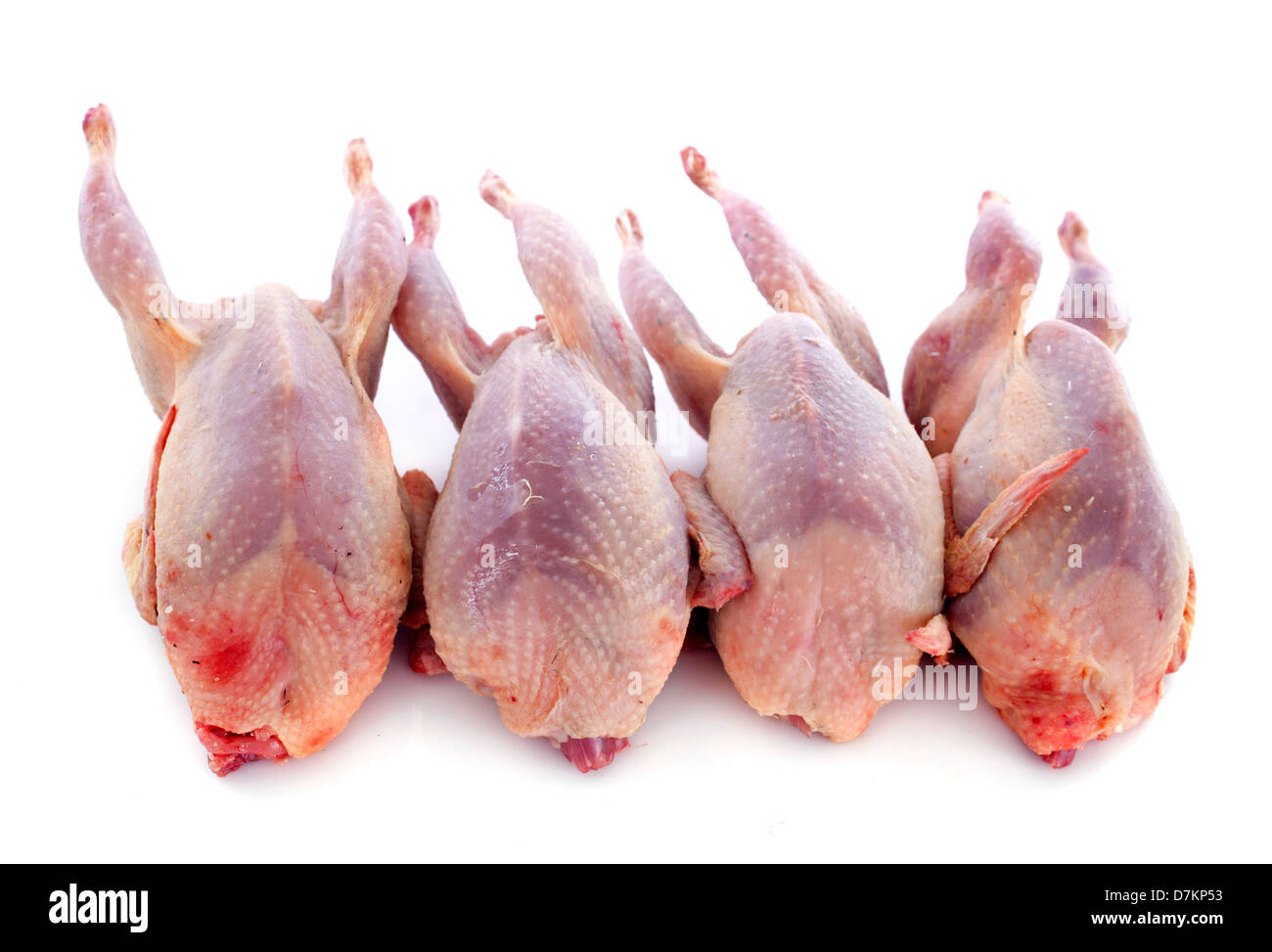 four quails carcasses on a cutting board Stock Photo - Alamy