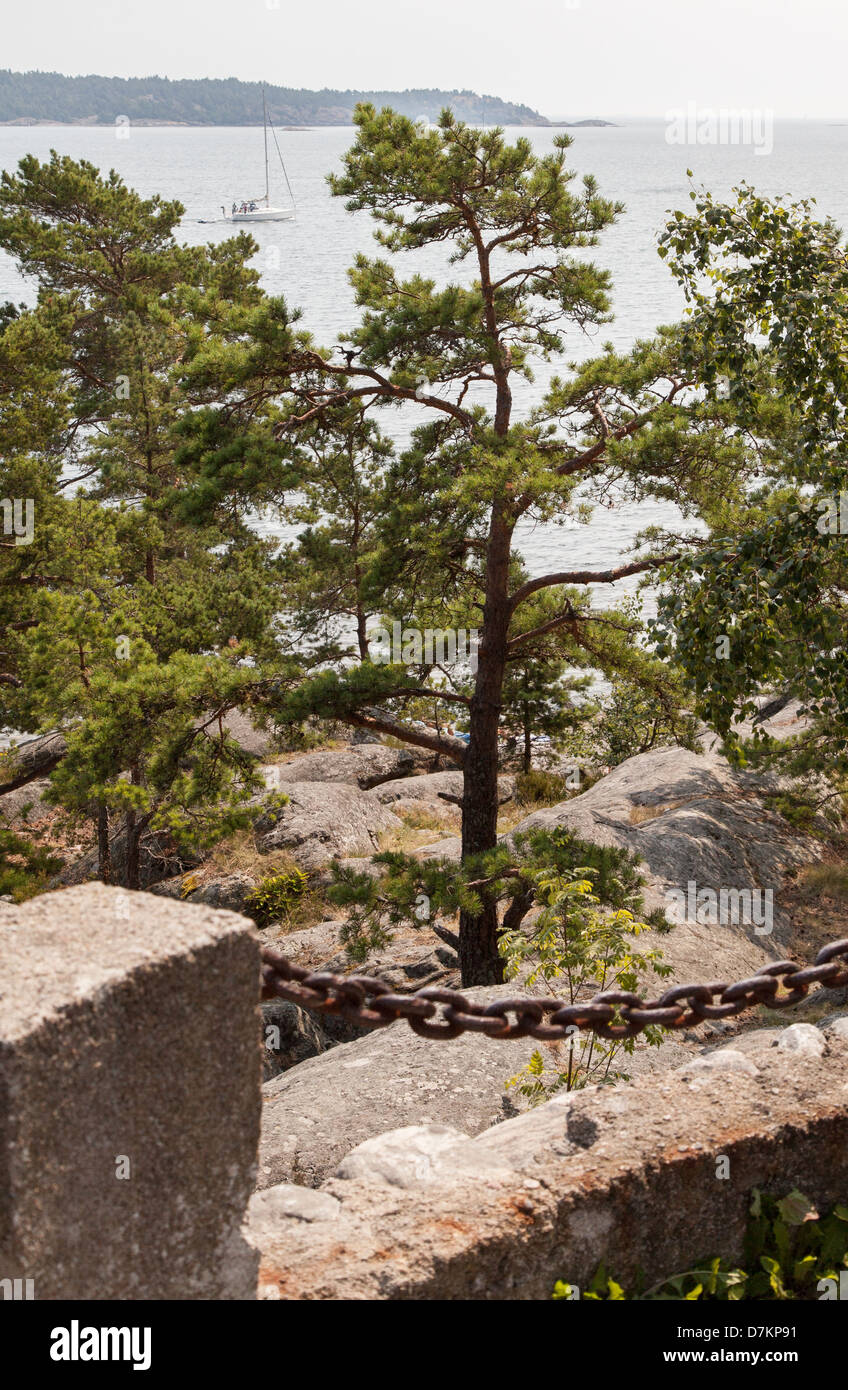 Trees in nordics hi-res stock photography and images - Alamy