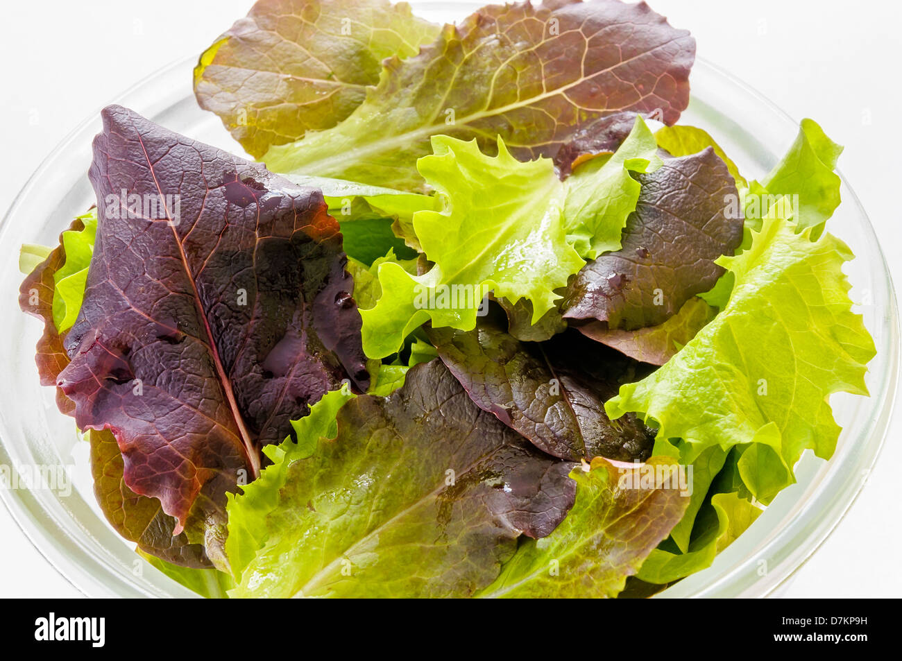 Close-up of mixed green and red salad Stock Photo - Alamy