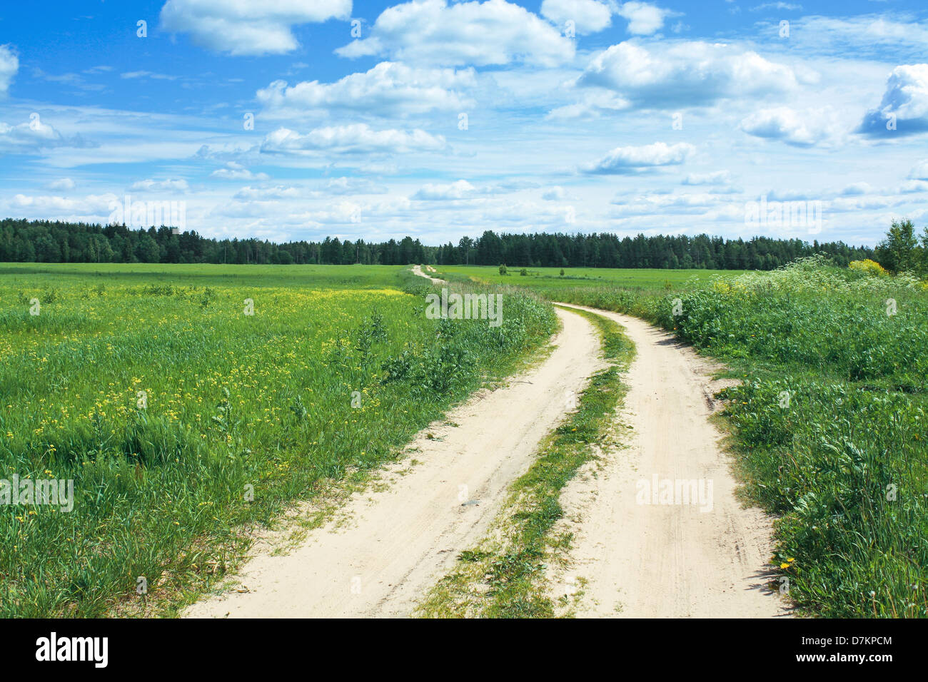 summer landscape with the rural road Stock Photo - Alamy
