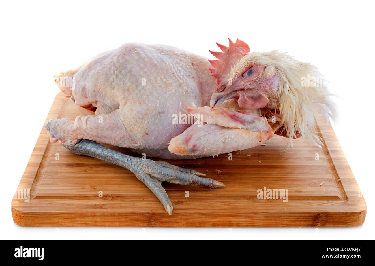 Bresse chicken on a cutting board in front of white background Stock ...