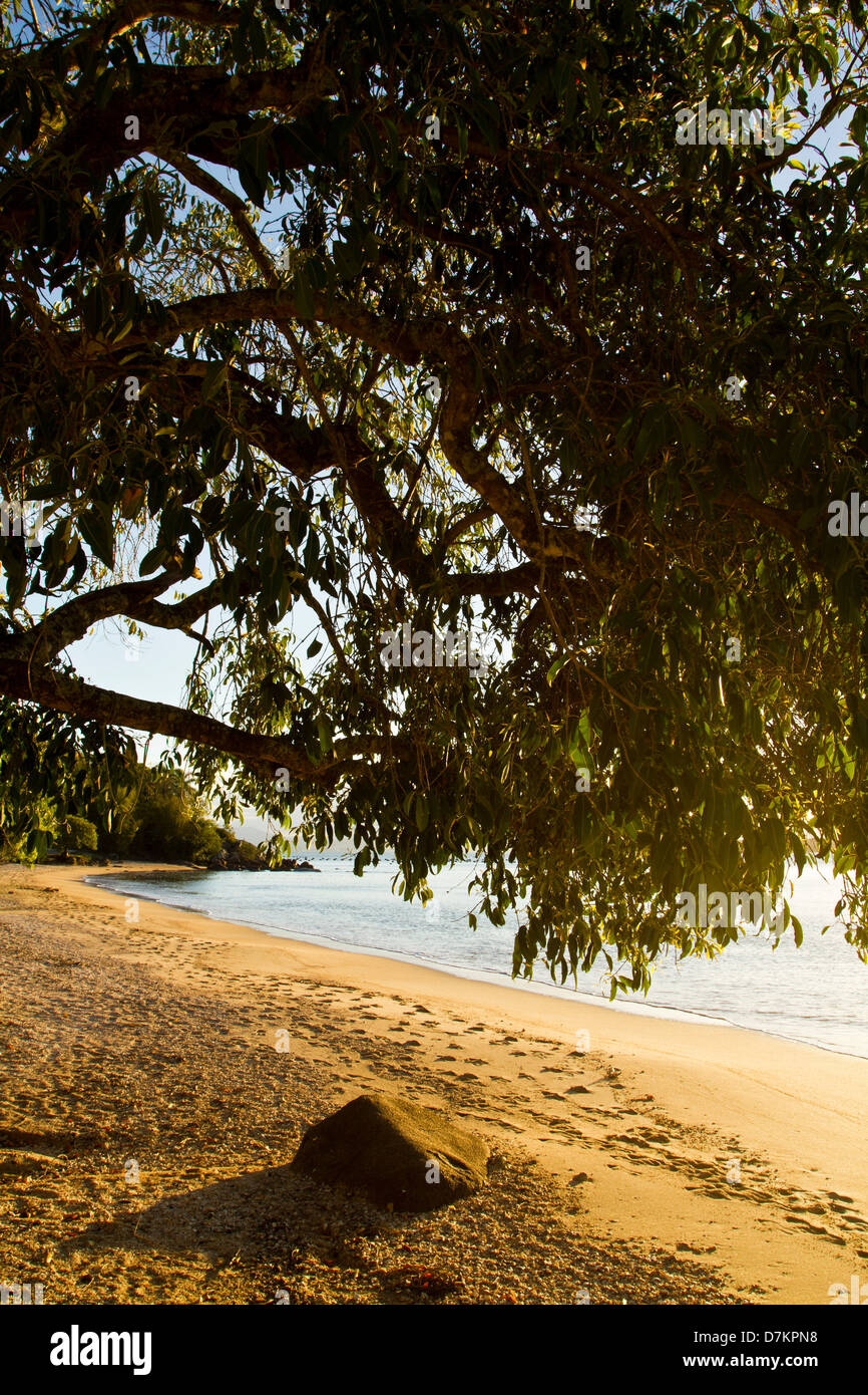 Barra do sambaqui hi-res stock photography and images - Alamy