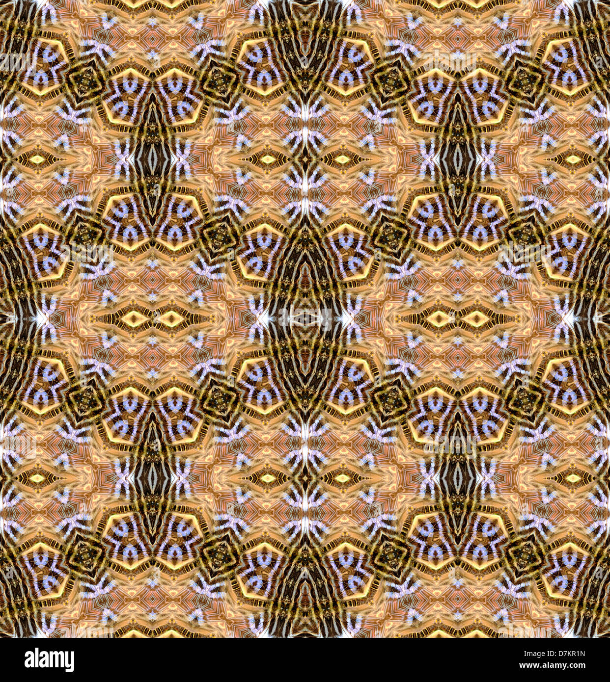 Repeating pattern made from image of Clipper Butterflies (Parthenos ...