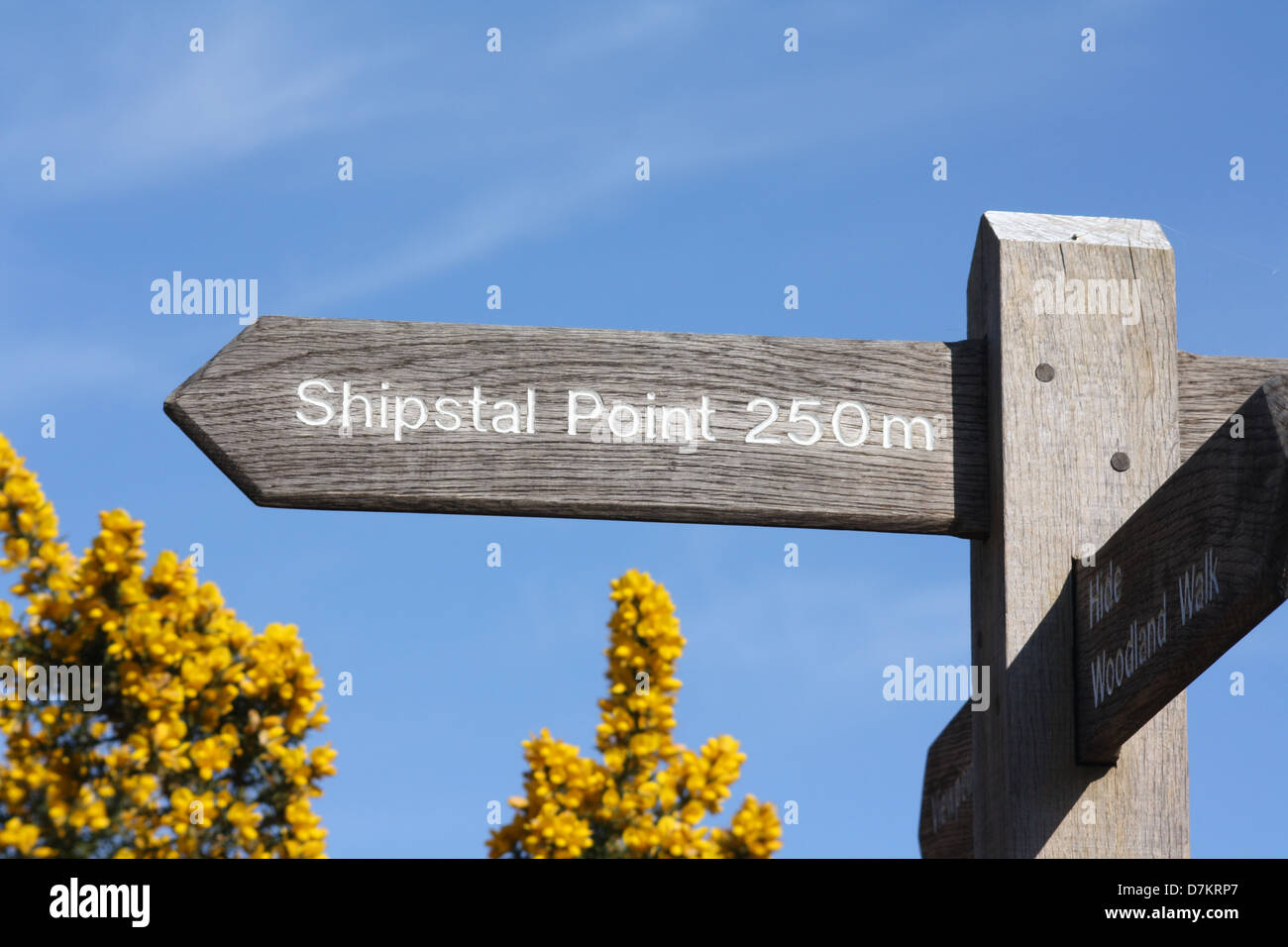 Dowelled wood joint hi-res stock photography and images - Alamy