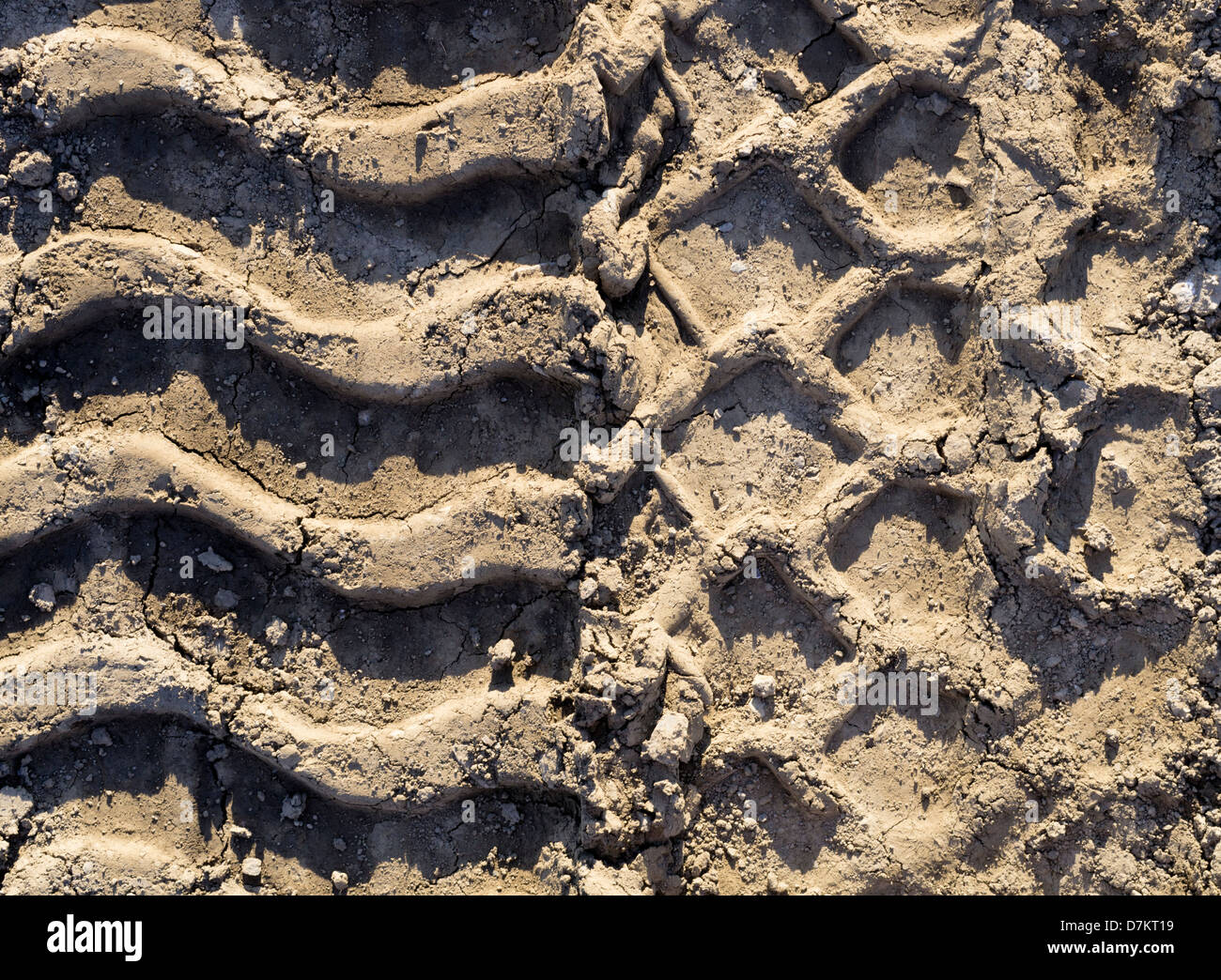 Close view of two different truck tire tracks side by side over dried ...