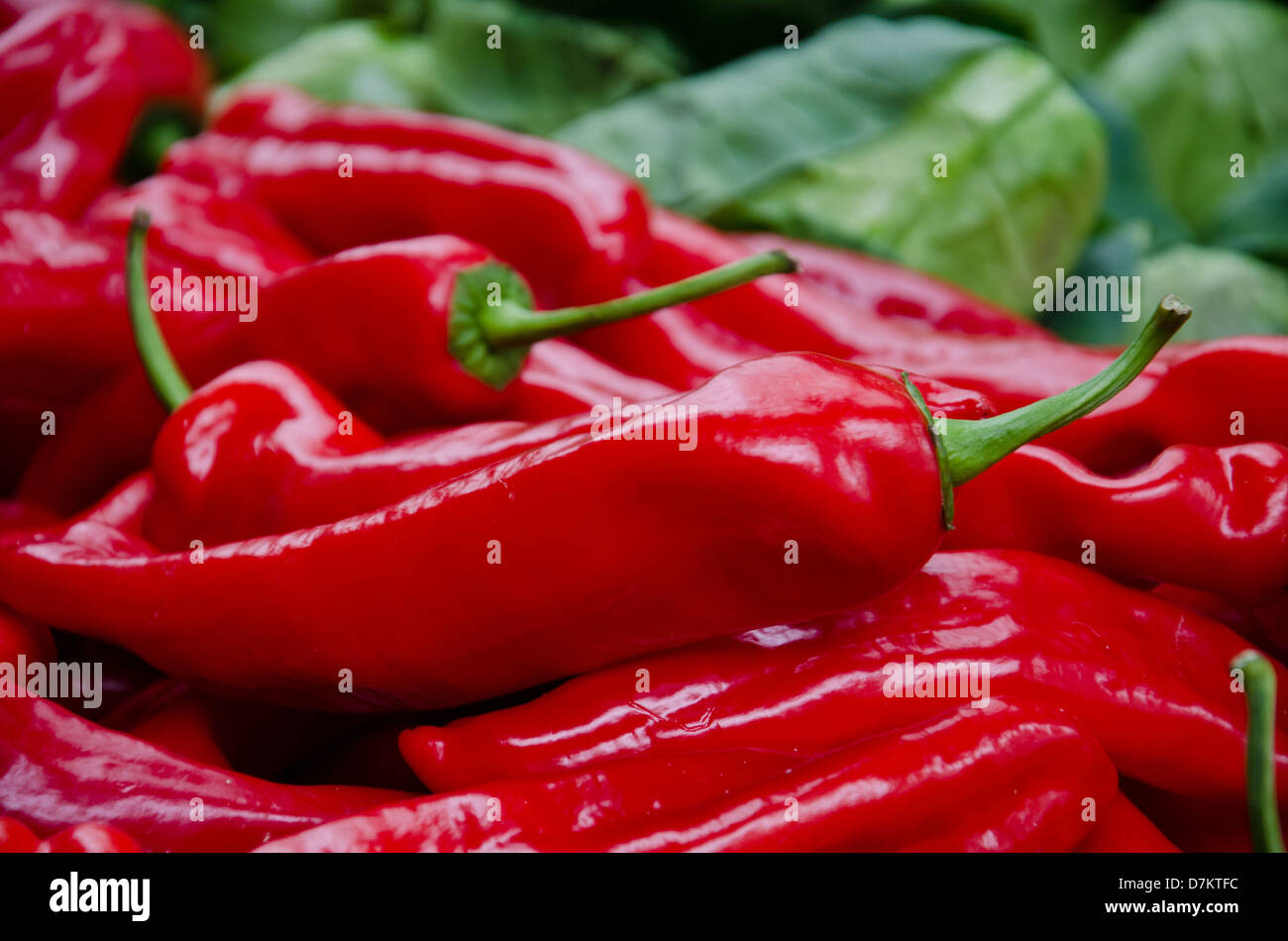 Red chillies market hi-res stock photography and images - Alamy