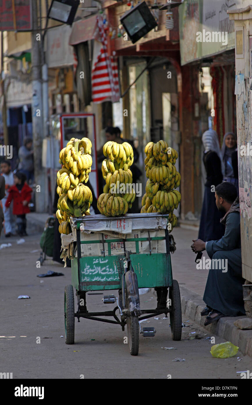 BANANAS BUNCHES ON TRICYCLE CART LUXOR EGYPT 13 January 2013 Stock ...