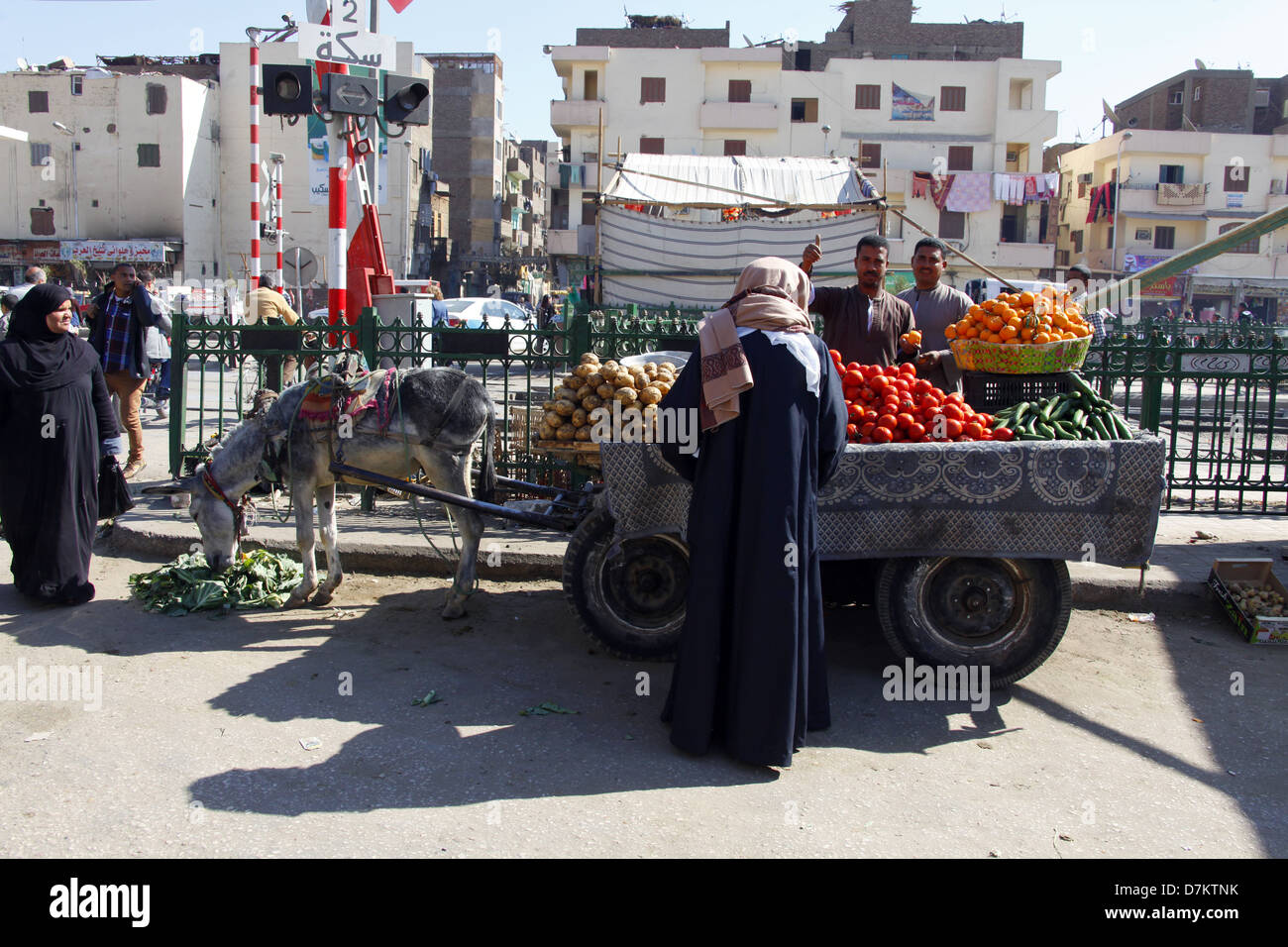 DONKEY & FRUIT VEGETABLE CART LUXOR EGYPT 13 January 2013 Stock Photo ...
