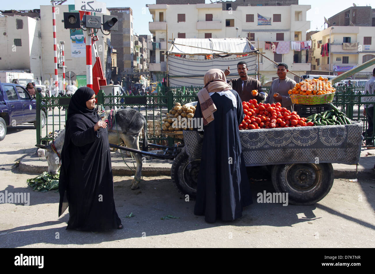 DONKEY & FRUIT VEGETABLE CART LUXOR EGYPT 13 January 2013 Stock Photo ...