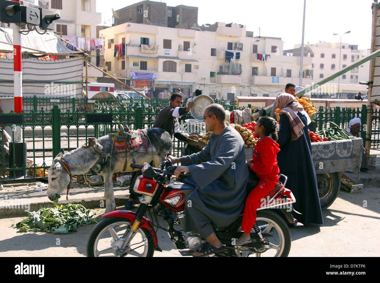 DONKEY & FRUIT VEGETABLE CART LUXOR EGYPT 13 January 2013 Stock Photo ...