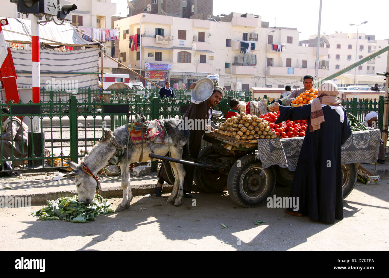 DONKEY & FRUIT VEGETABLE CART LUXOR EGYPT 13 January 2013 Stock Photo ...