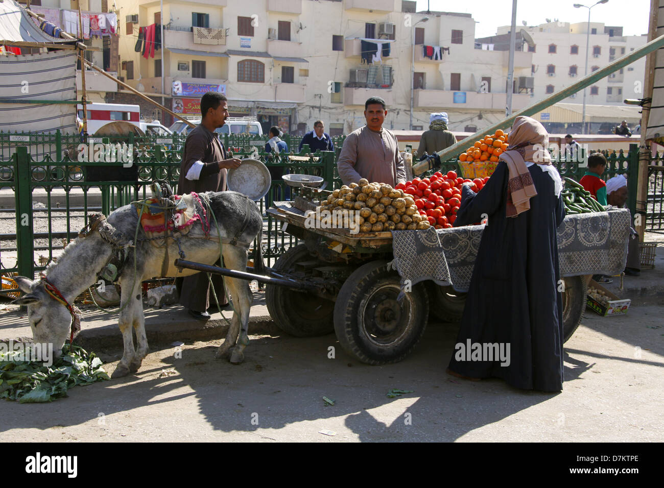DONKEY & FRUIT VEGETABLE CART LUXOR EGYPT 13 January 2013 Stock Photo ...