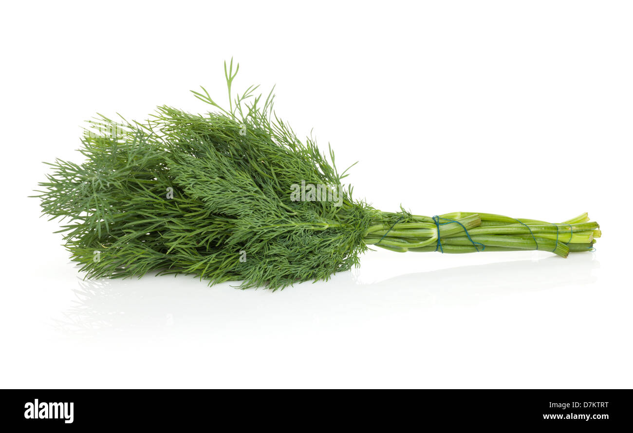 Fresh dill bunch. Isolated on white background Stock Photo - Alamy