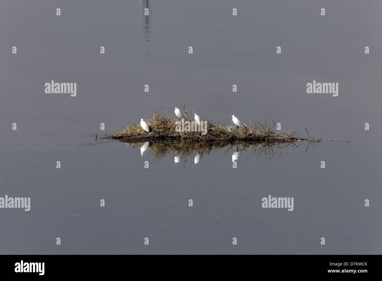 Straw island hi-res stock photography and images - Alamy