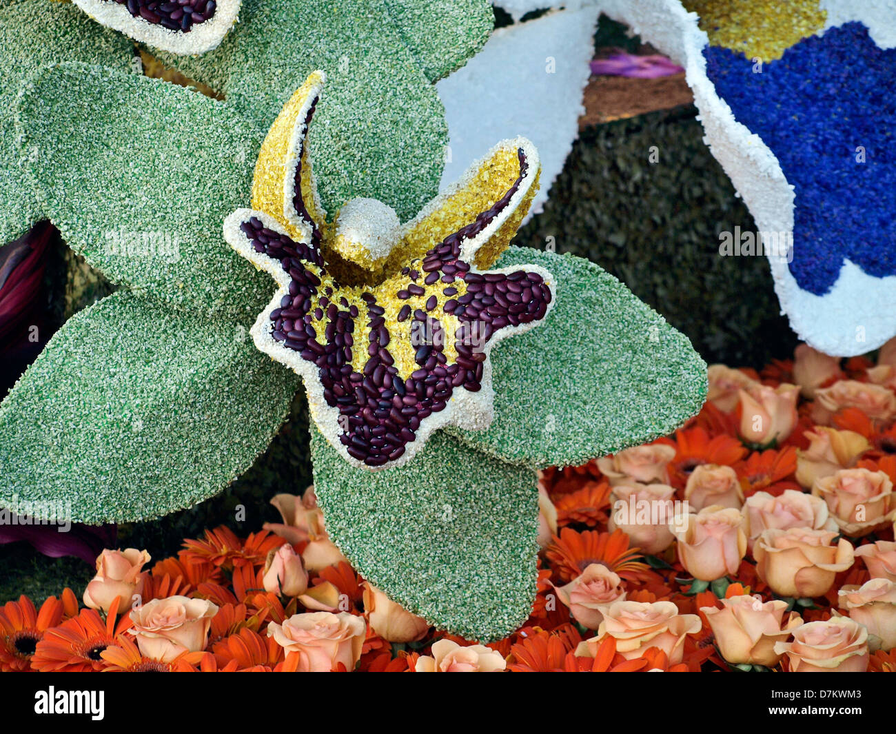 Parade float flowers pageant hi-res stock photography and images - Alamy