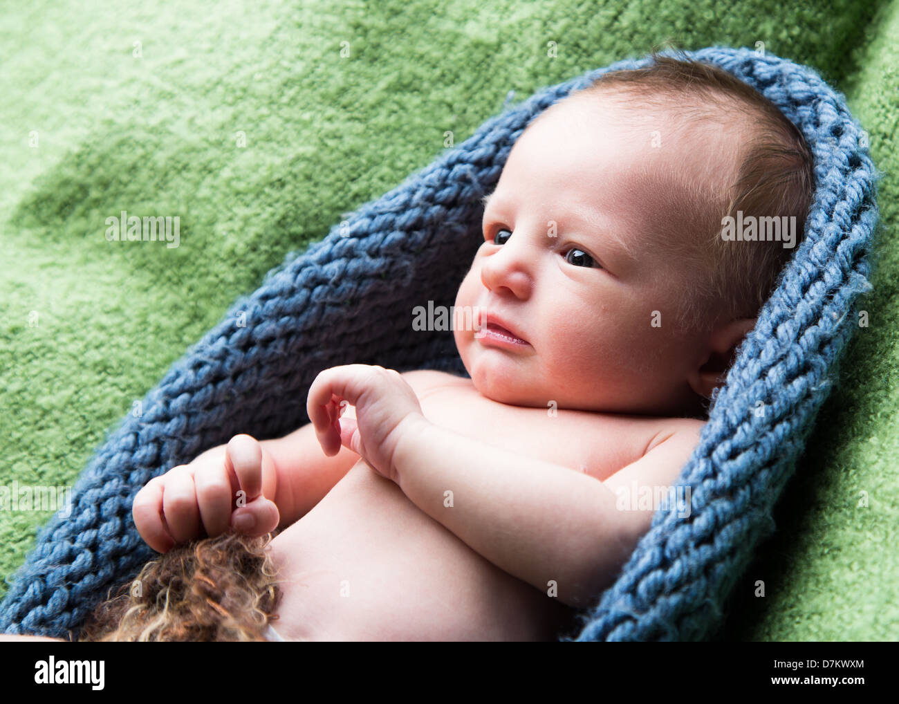 infant in wool 4 Stock Photo - Alamy