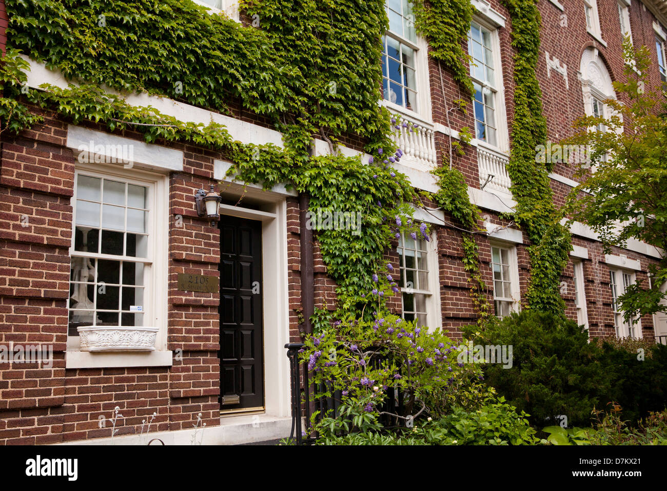 House Covered With Vines High Resolution Stock Photography and Images ...