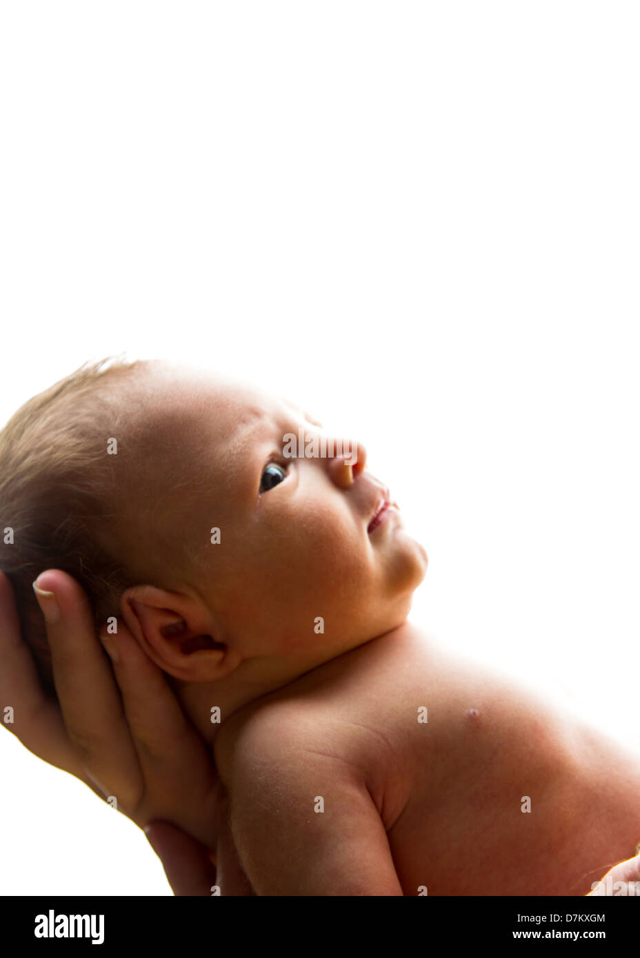 Newborn with white back drop hi-res stock photography and images - Alamy