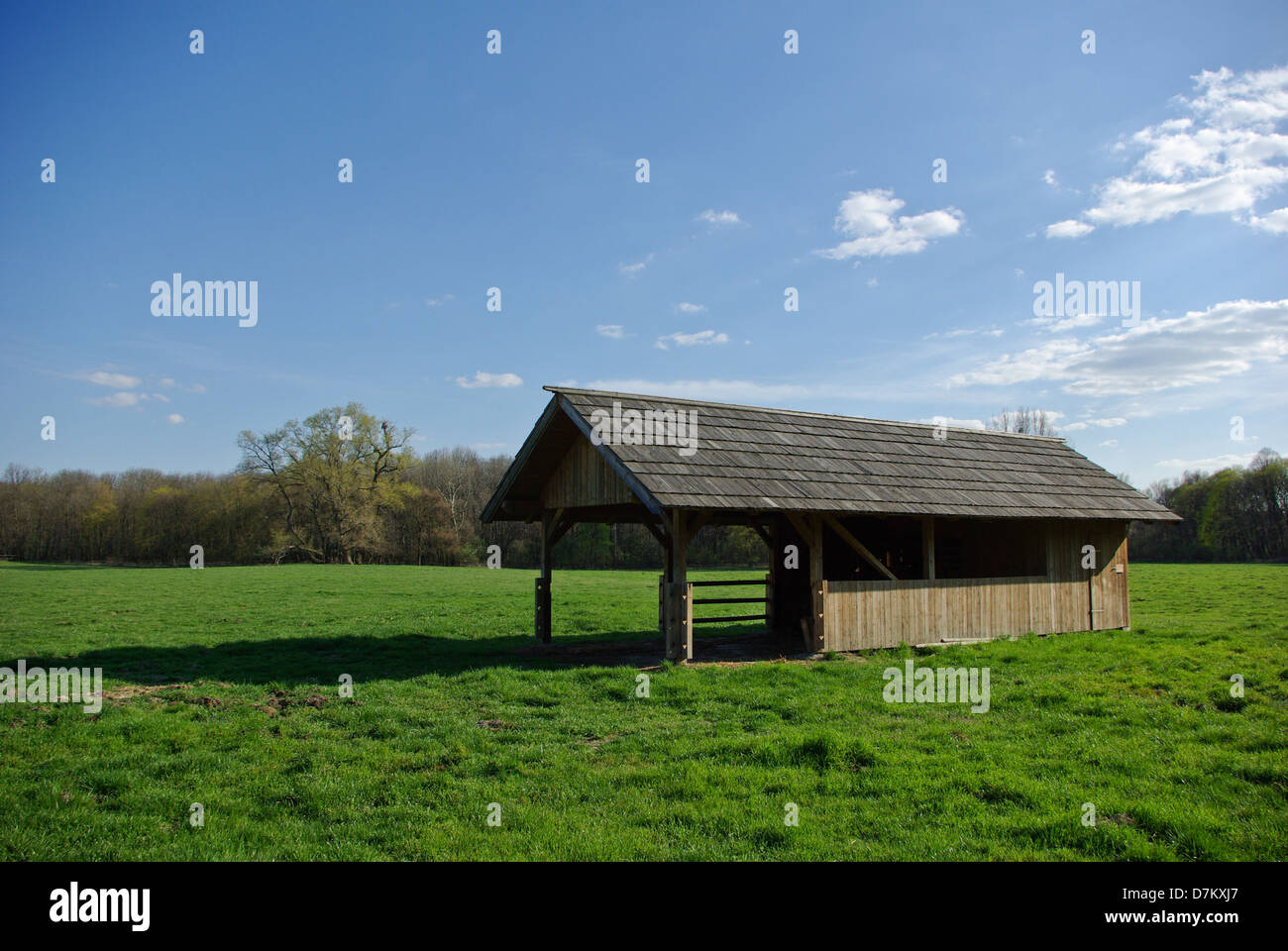 Empty cow shed hi-res stock photography and images - Alamy