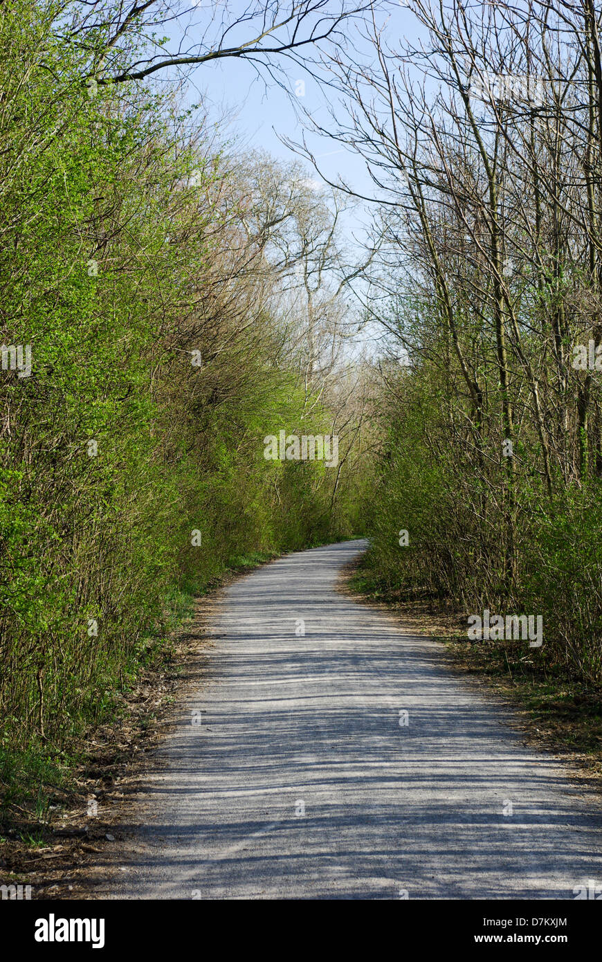 Empty path in the Lobau, a Vienna recreation area in spring Stock Photo ...