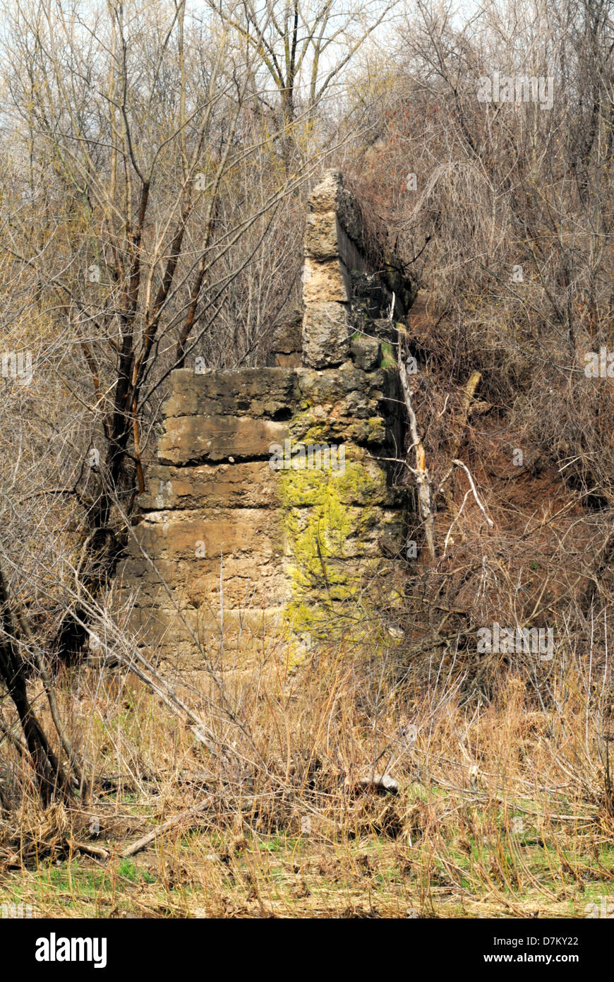 Overgrown old ruins in forest Stock Photo - Alamy