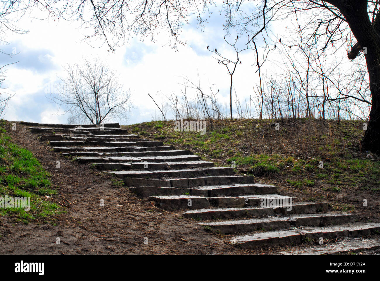Muddy stone steps in park Stock Photo - Alamy
