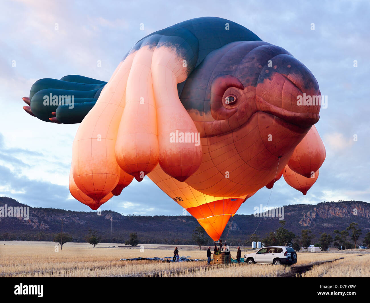 Skywhale stands in a field ready for her first test flight in Australia ...
