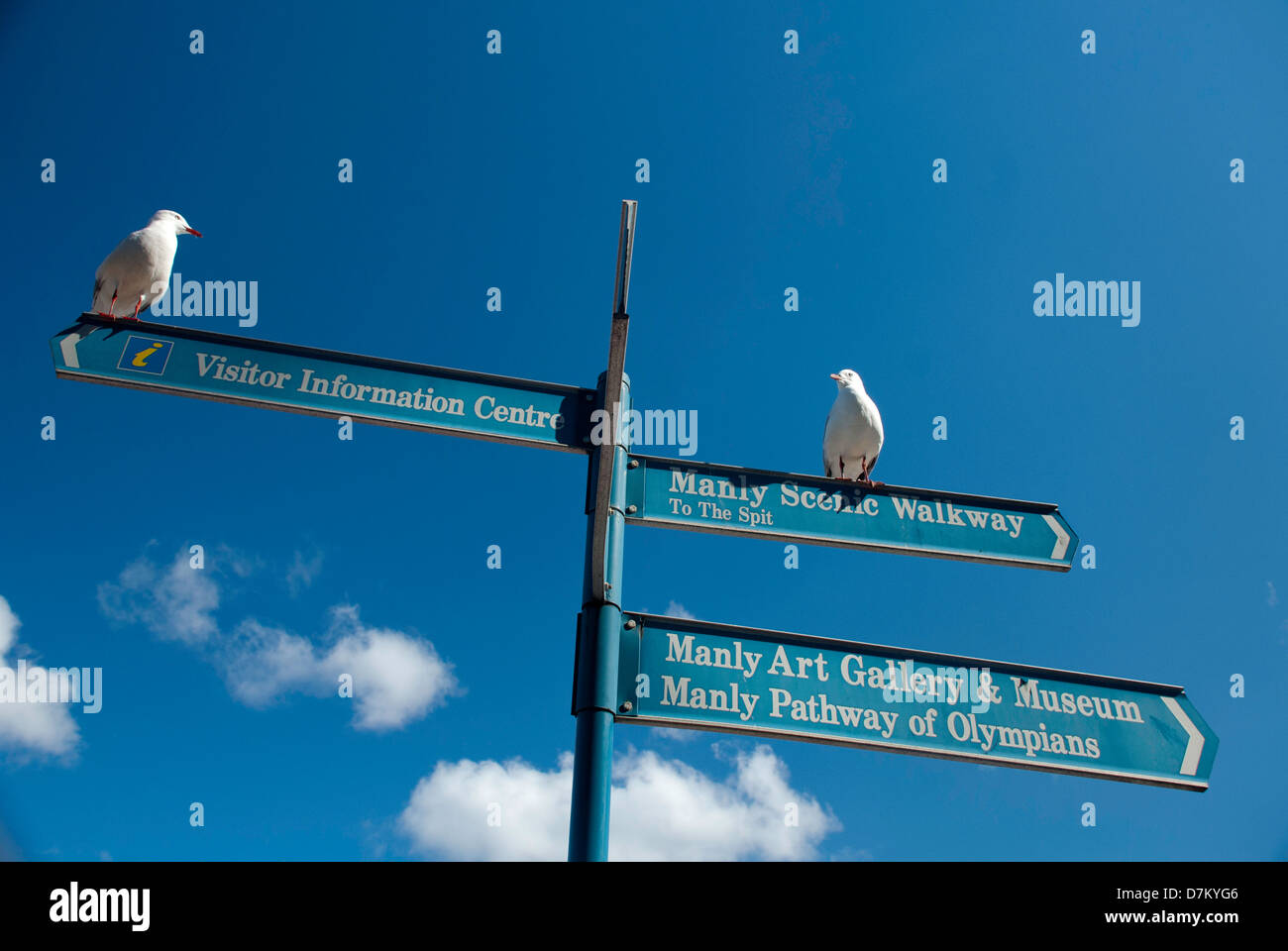 Directional signage at the front of Manly Wharf Stock Photo - Alamy