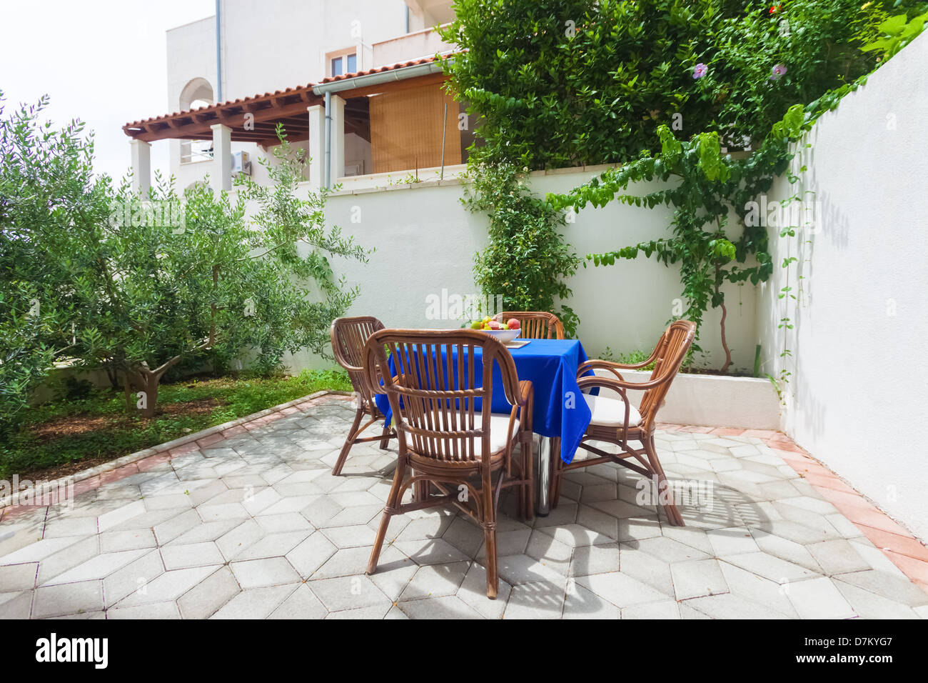 Olive tree front garden hi-res stock photography and images - Alamy