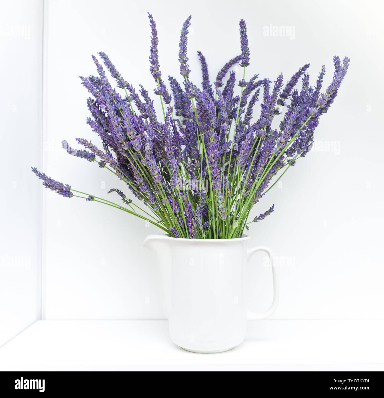 Lavender in bucket hi-res stock photography and images - Alamy