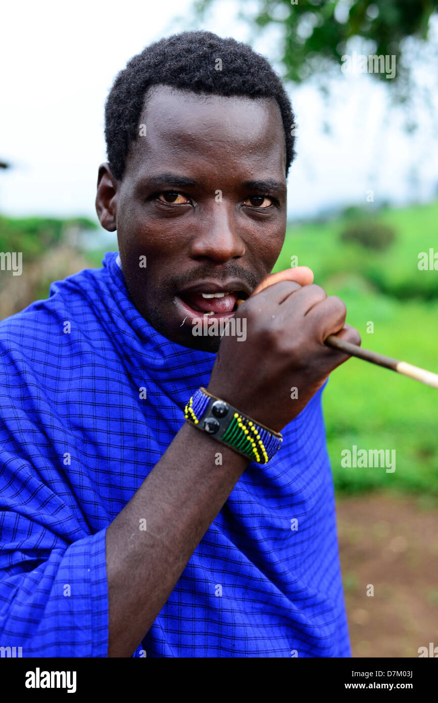 A Masai man brushing his teeth with a traditional African / Masai ...