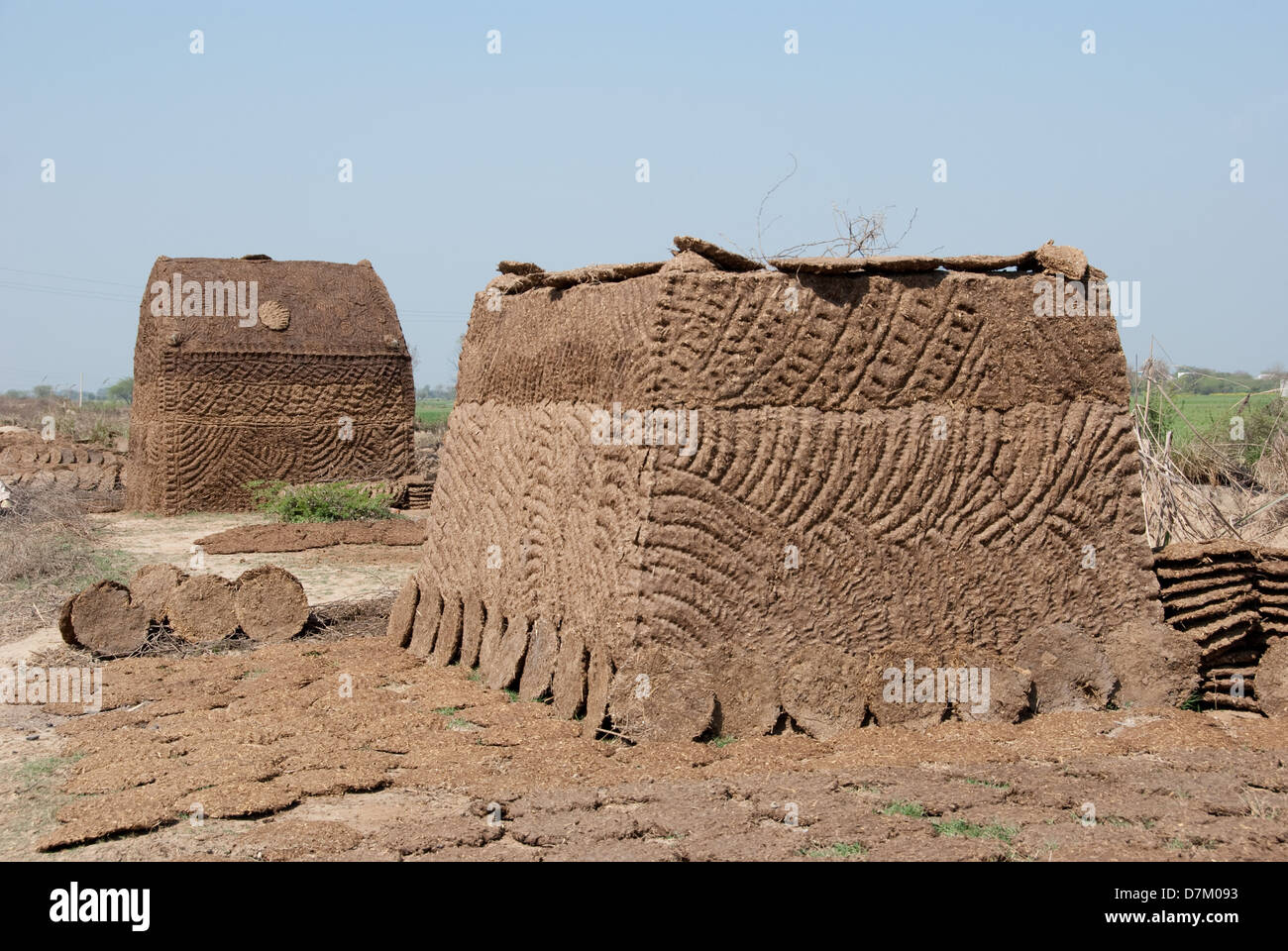 Buffalo dung hi-res stock photography and images - Alamy