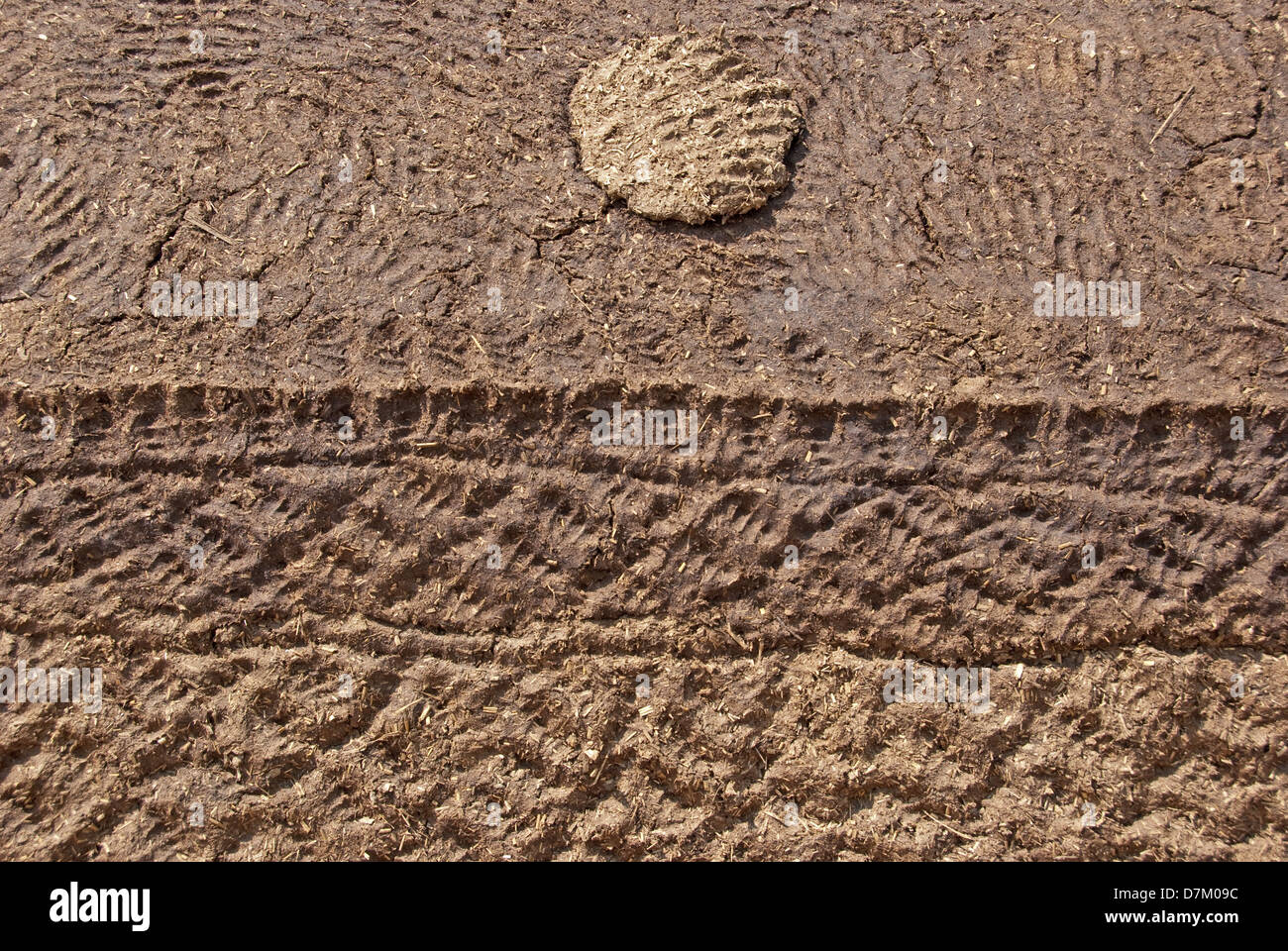 Traditional art and design in buffalo dung created by a rural Snake ...