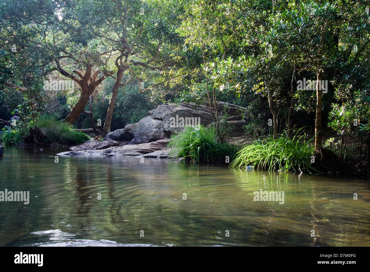 Riverside Lush, Green Landscape Stock Photo - Alamy
