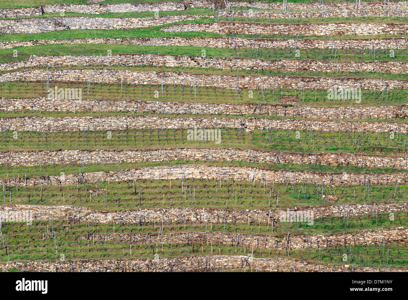 Loess plateau hi-res stock photography and images - Alamy
