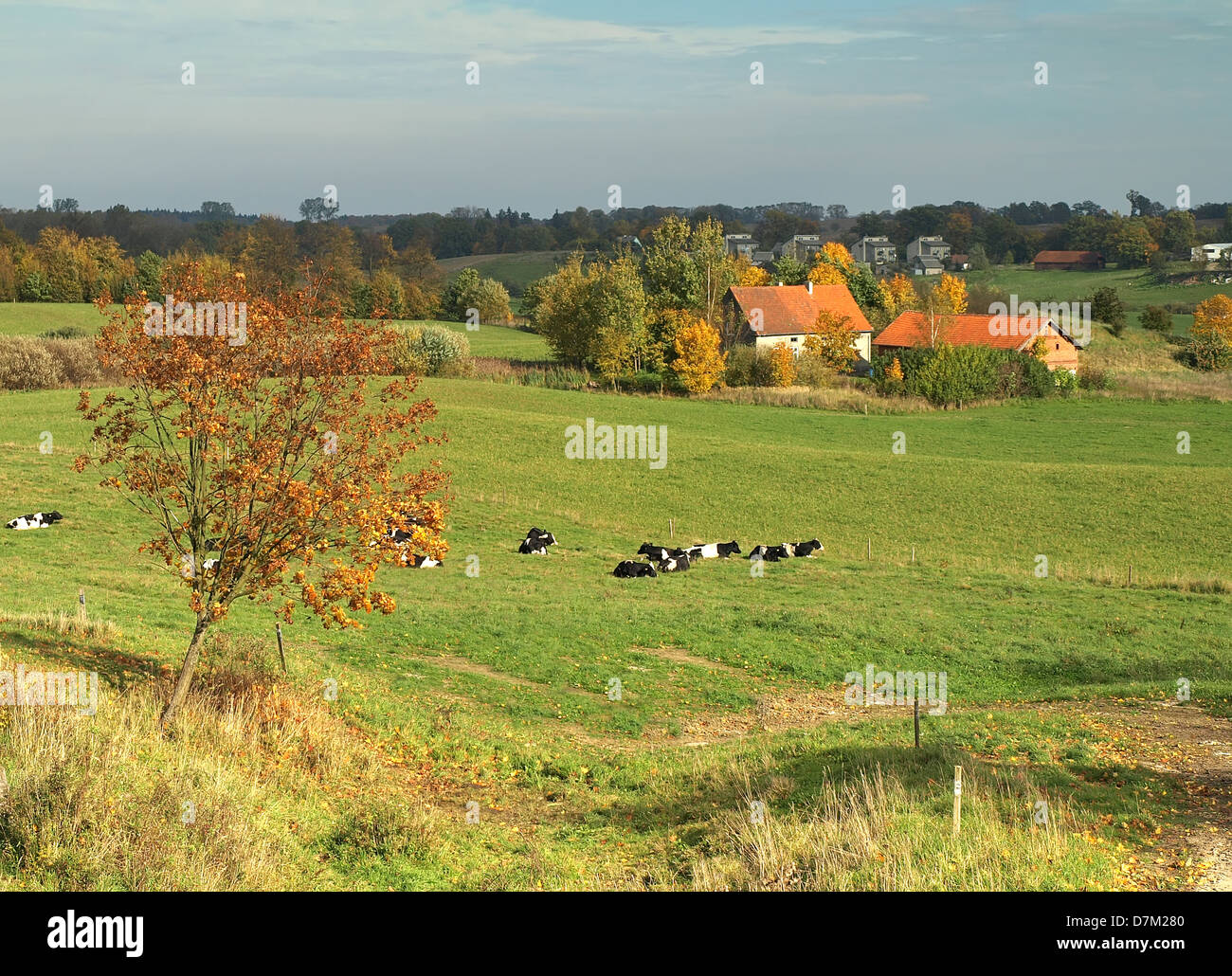 Sunny rural view, Poland Stock Photo - Alamy