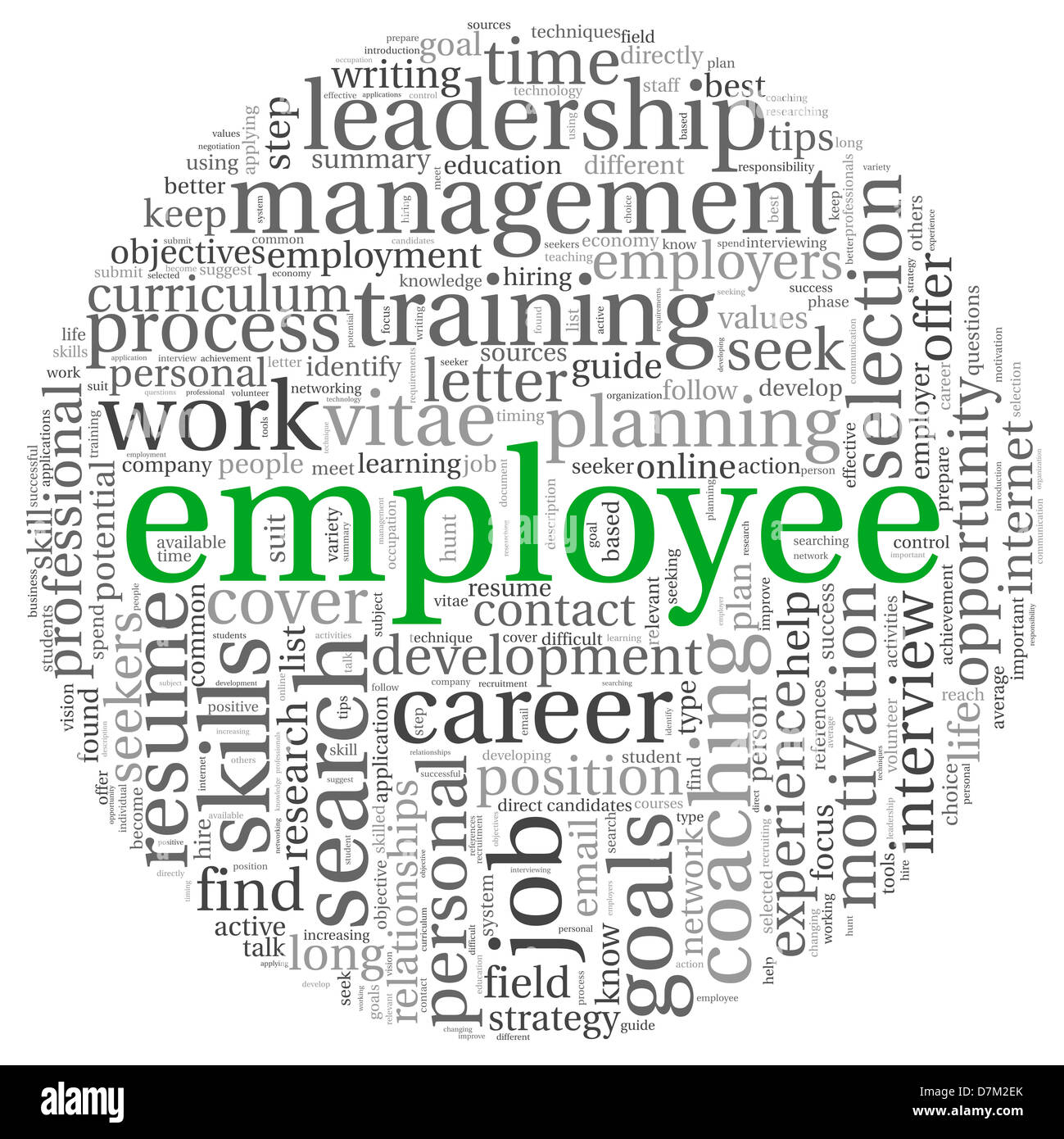 Job interview concept in word Cut Out Stock Images & Pictures - Alamy