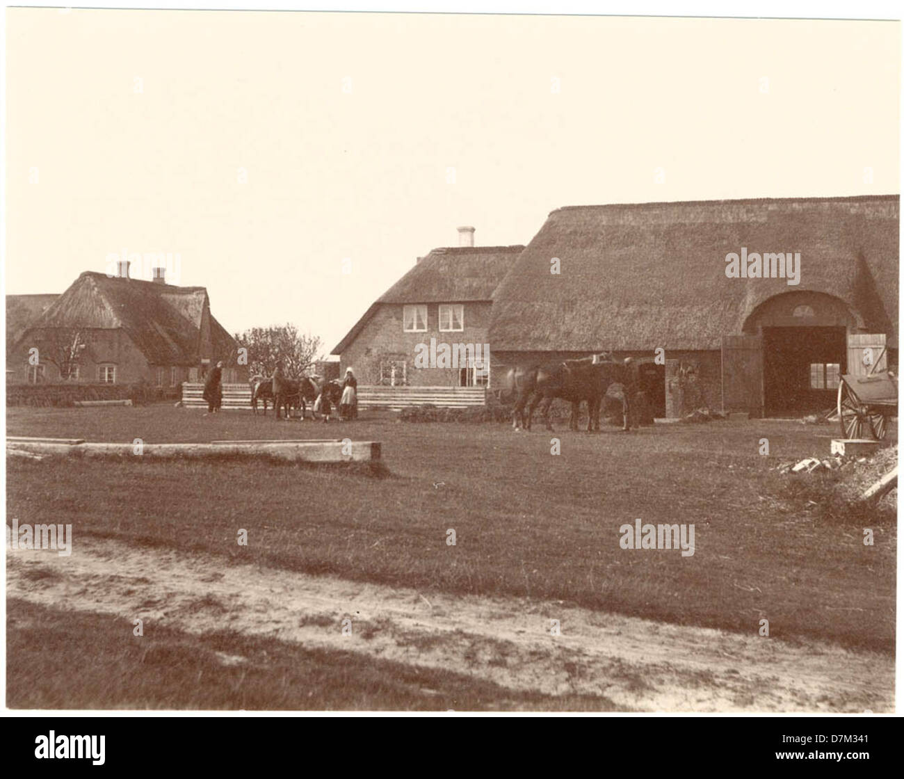 This photograph captures a farm on Sylt, Germany, showcasing ...