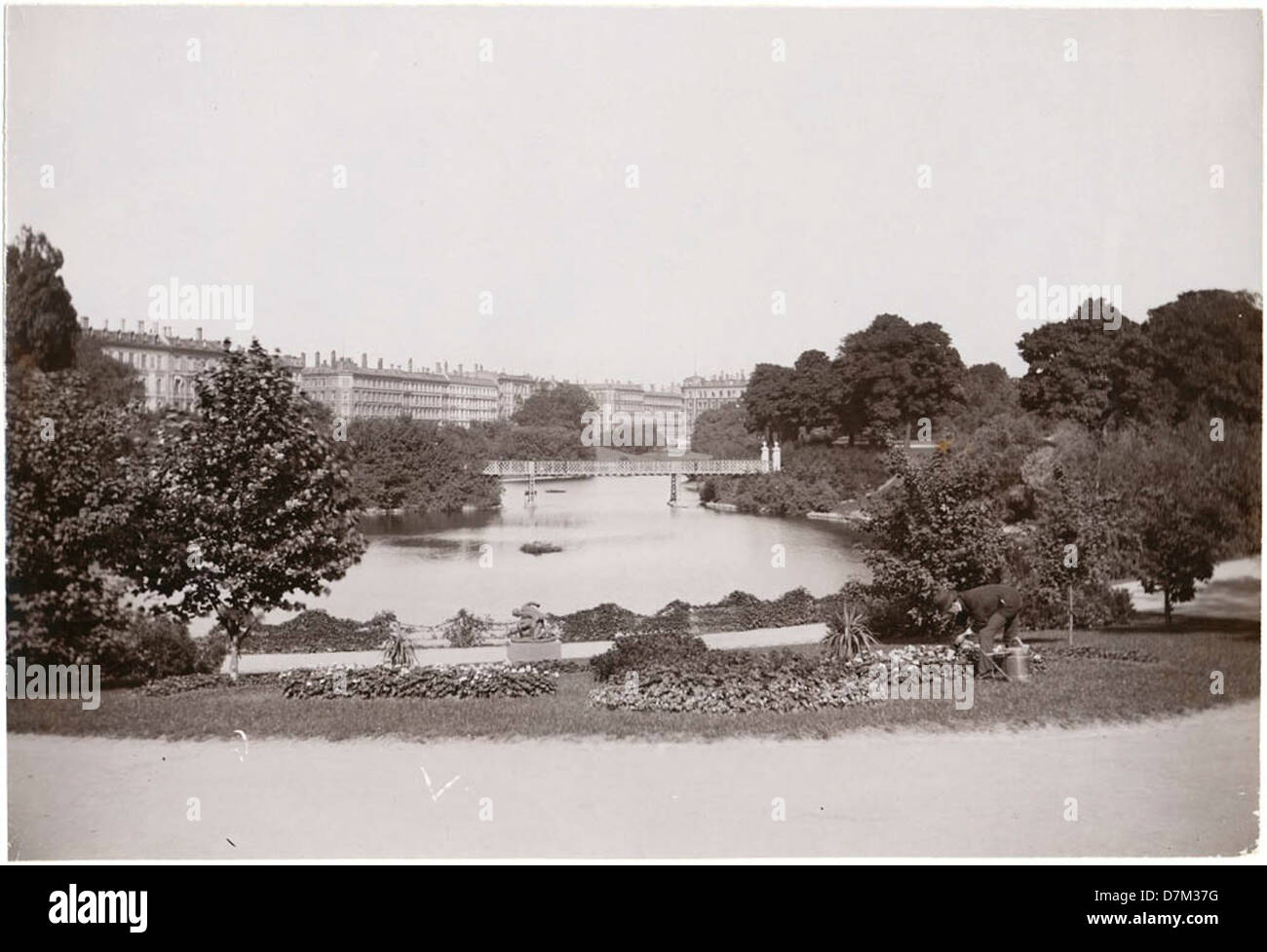 This photograph by Carl Curman captures a gardener working in ...