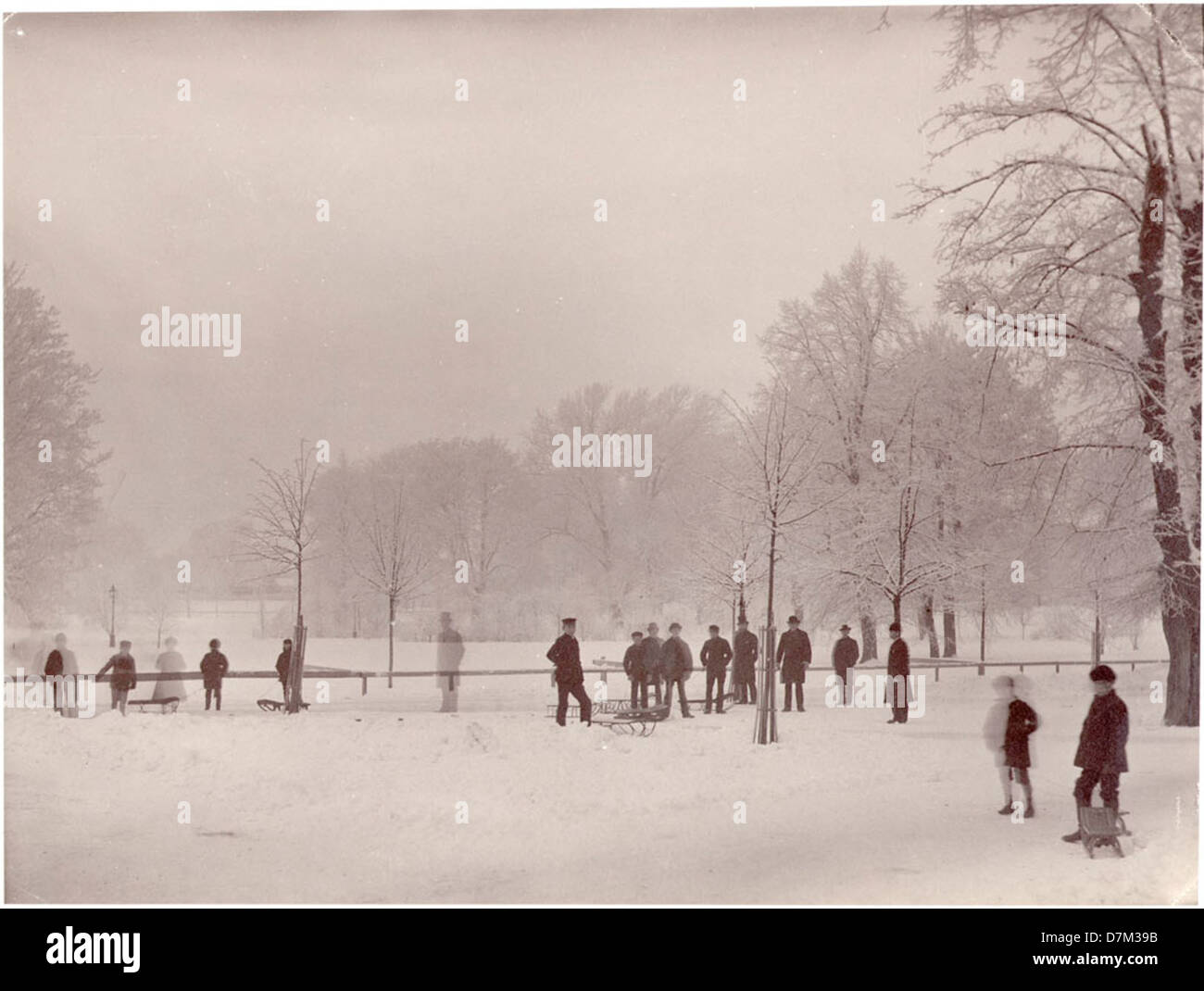Carl Curman's photograph of winter in Humlegården, Stockholm, captures ...